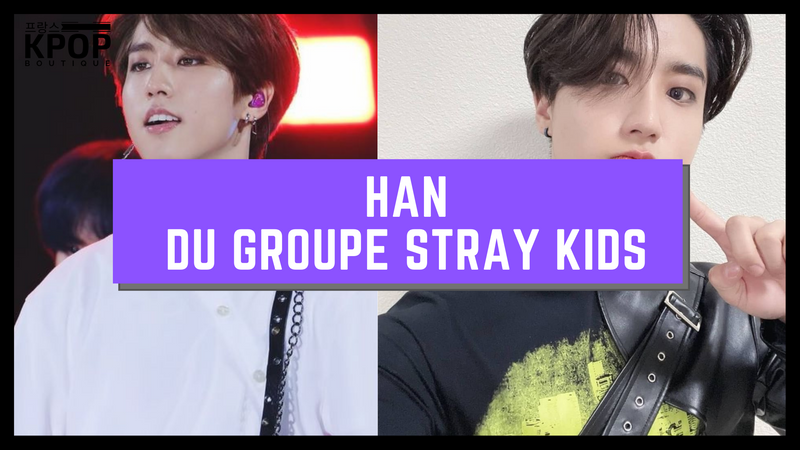 HAN [STRAY KIDS] - PRESENTATION | KPOP Store - Boutique KPOP